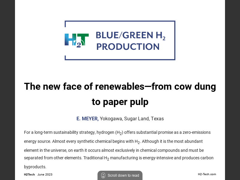 June 2023Blue/Green H2 Production—Meyer (Yokogawa)