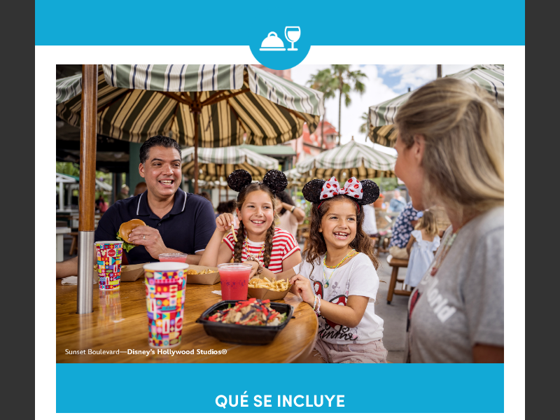 Spanish BrochureWhats Included